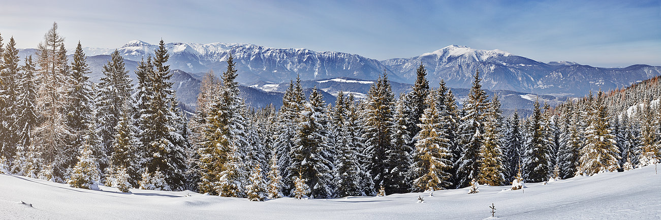Winter - Hotel Schneeberghof